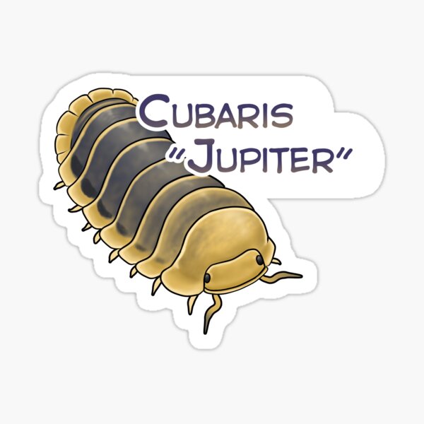 "Cubaris "Jupiter" name tag" Sticker for Sale by Pods-n-Pugs | Redbubble
