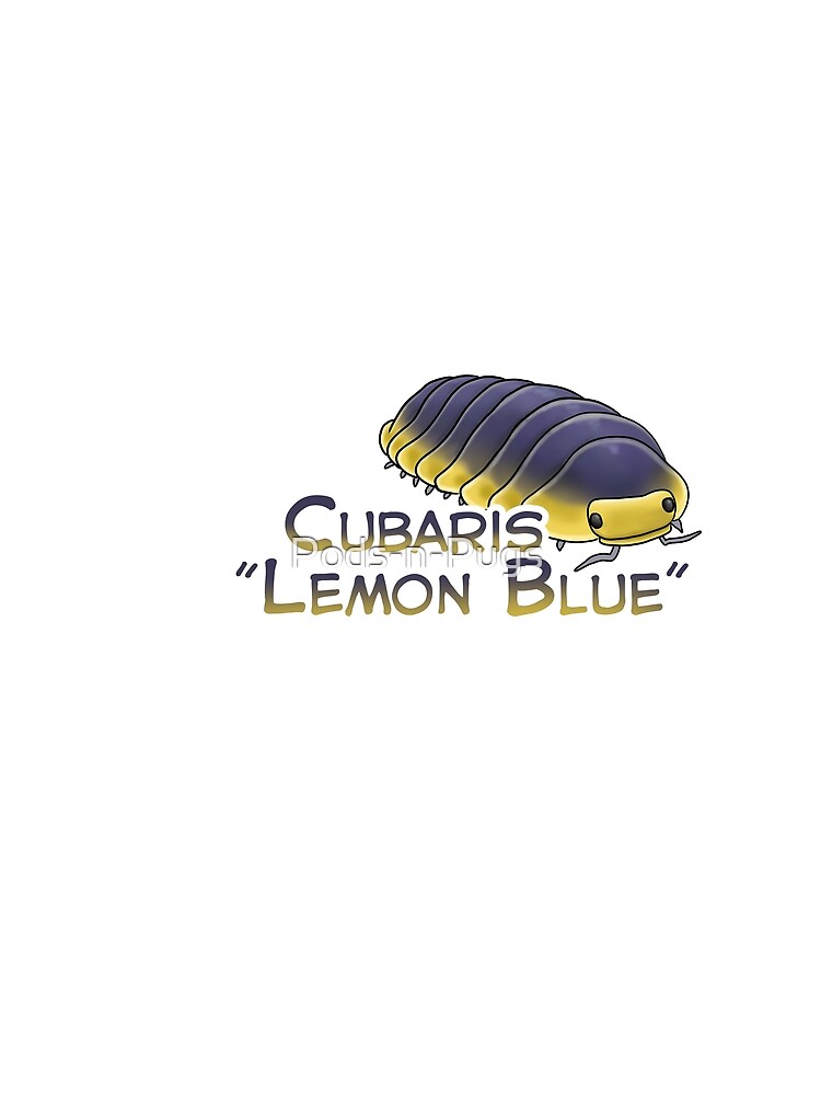 "Cubaris "Lemon Blue" name tag" Poster for Sale by Pods-n-Pugs | Redbubble