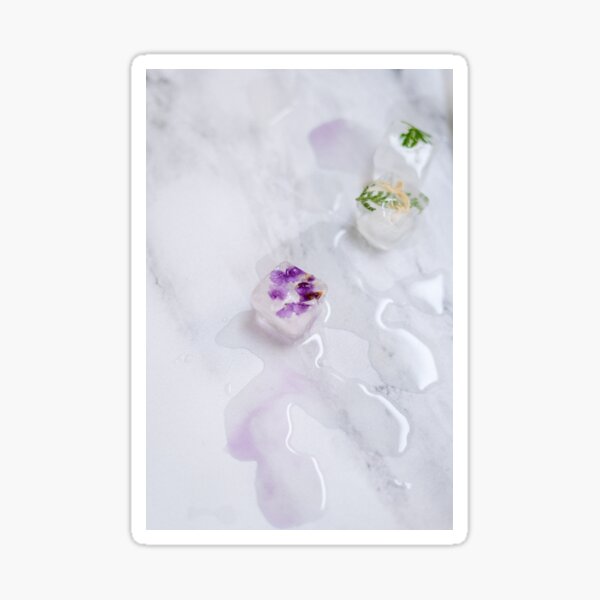 "Aesthetic Design" Sticker for Sale by Blue-Pixie | Redbubble