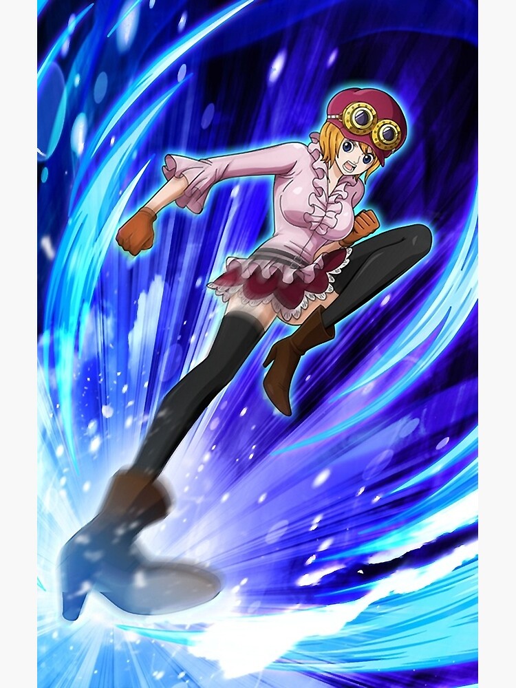 "Koala One Piece" Poster for Sale by ShonnaWener | Redbubble