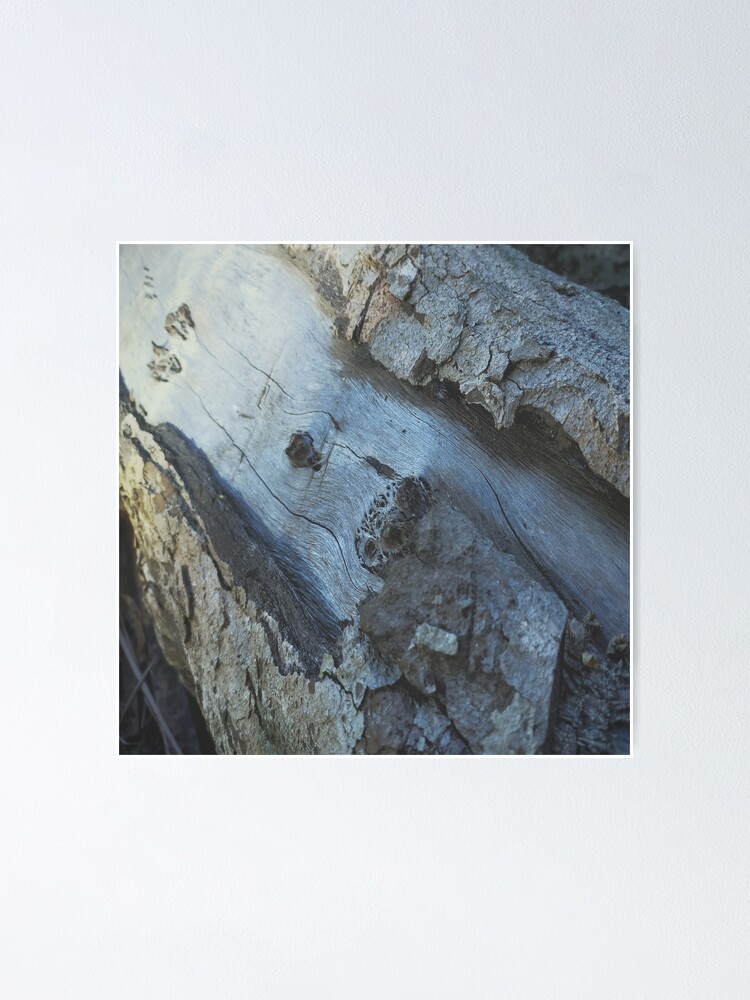 "Aesthetic log" Poster for Sale by CharlesArtist | Redbubble