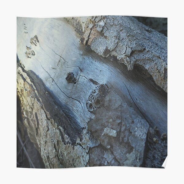 "Aesthetic log" Poster for Sale by CharlesArtist | Redbubble