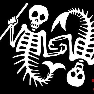 "OFMD season 2 mermaid pirate pride flag Blackbeard Stede Bonnet flag ...