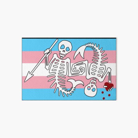 "OFMD season 2 mermaid transgender pirate pride flag Blackbeard Stede ...