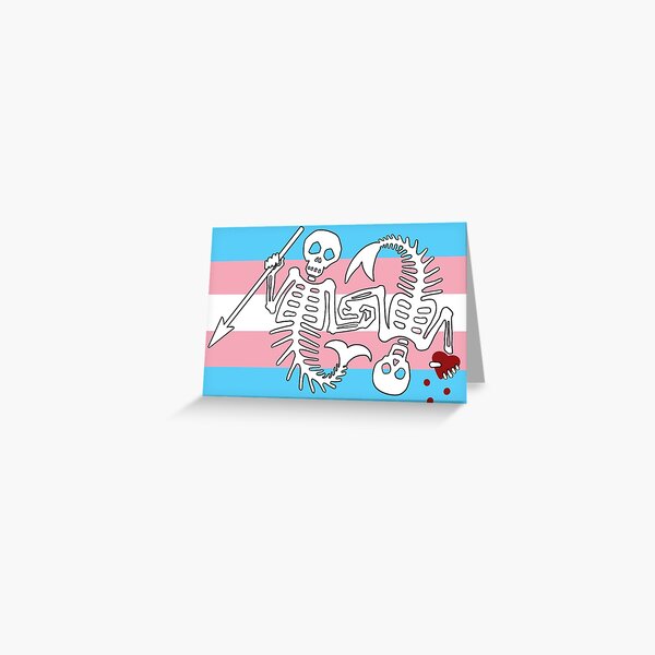 "OFMD season 2 mermaid transgender pirate pride flag Blackbeard Stede ...