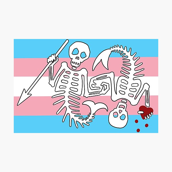 "OFMD season 2 mermaid transgender pirate pride flag Blackbeard Stede ...