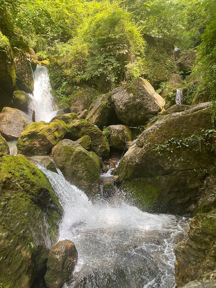 "Spring Water " Poster for Sale by estore1994 | Redbubble