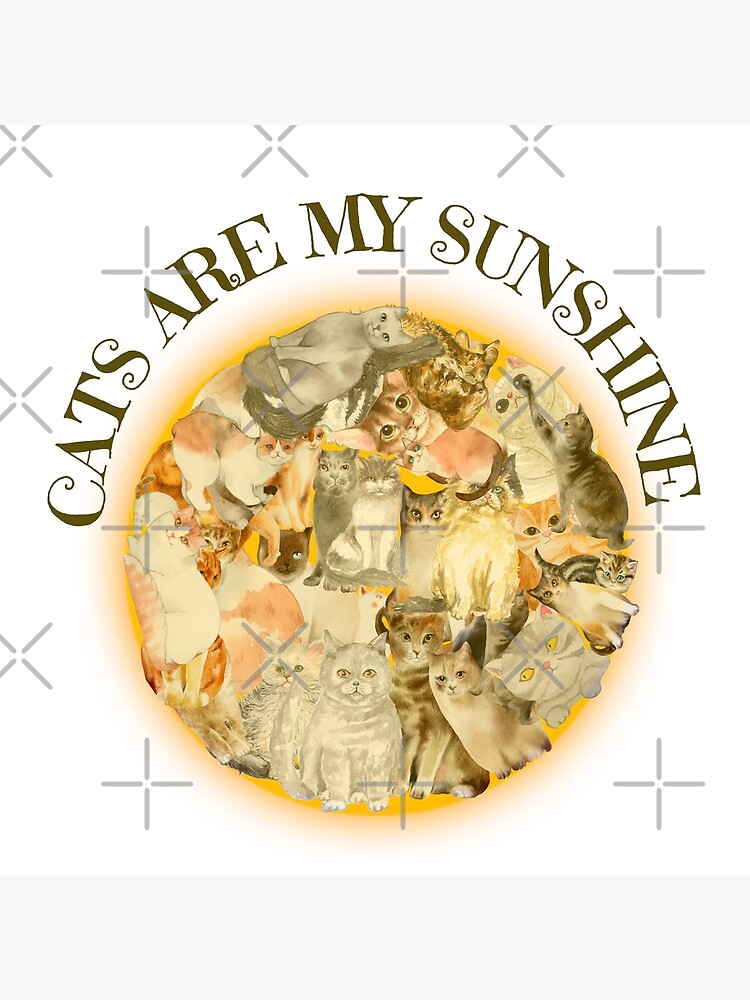 Póster «Los gatos son mi sol, cita inspiradora y lindo arte de gatos ...