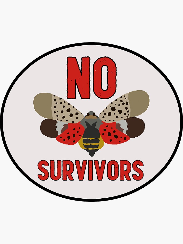 "Spotted Lantern Fly - No Survivors" Sticker for Sale by Mac-n-bees | Redbubble