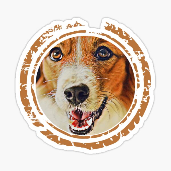 "KOOIKER" Sticker for Sale by KatisDesign | Redbubble