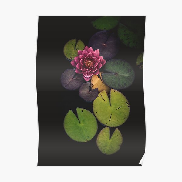 "Floaters" Poster for Sale by alanshapiro | Redbubble