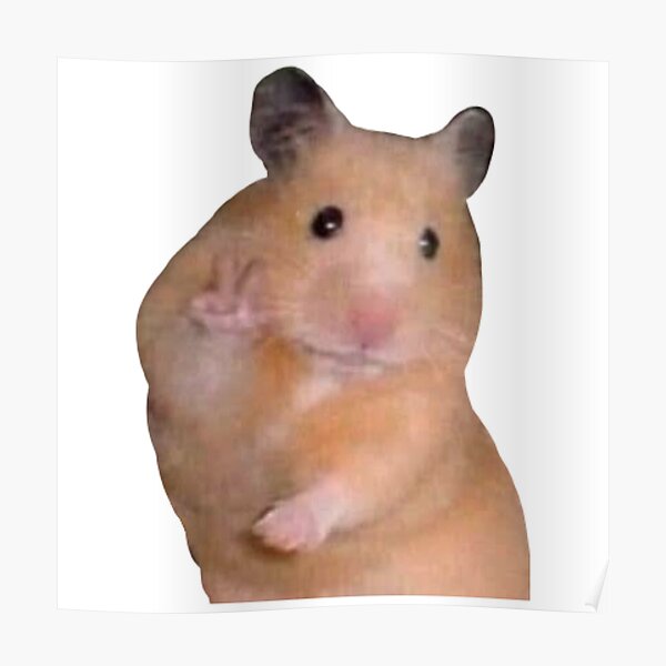 "hamster meme " Poster for Sale by yeehawboyy | Redbubble