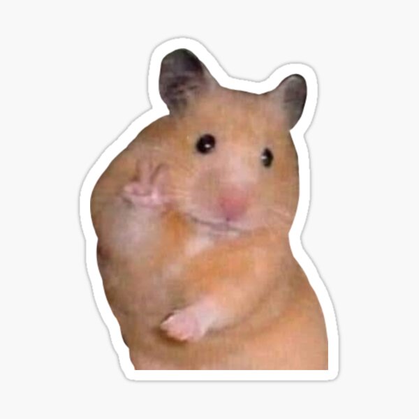 "hamster meme " Sticker for Sale by yeehawboyy | Redbubble