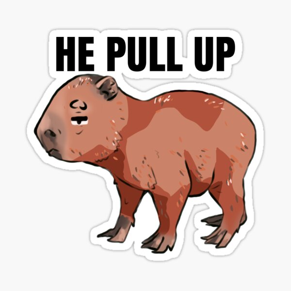 "Baby capybara pull up" Sticker for Sale by ancesp | Redbubble
