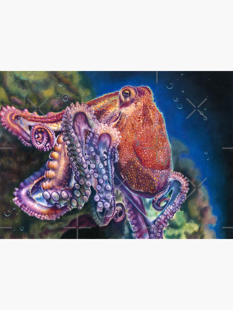 "Shiny Octopus" Sticker for Sale by CharisCreations | Redbubble