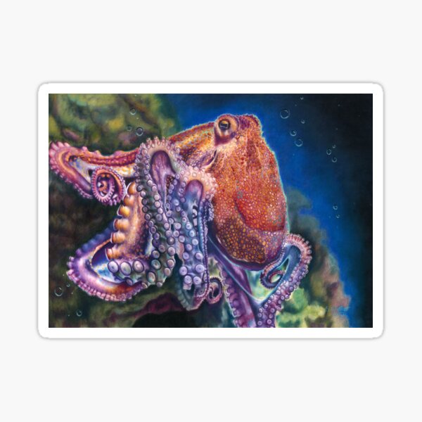 "Shiny Octopus" Sticker for Sale by CharisCreations | Redbubble