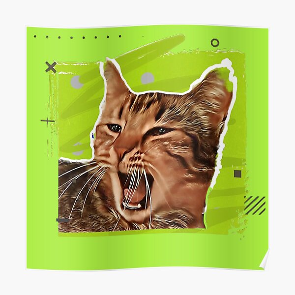 "Adorable cat yawning" Poster for Sale by WeDesignBest | Redbubble