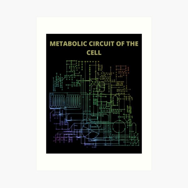 "Metabolic Pathway circuit style" Art Print for Sale by ScienceStores ...