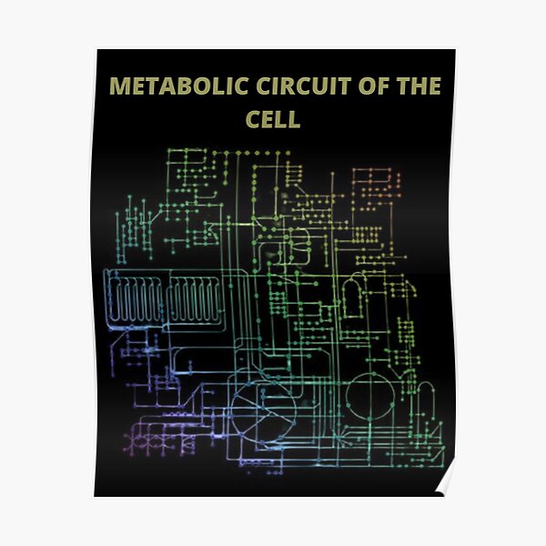 "Metabolic Pathway circuit style" Poster for Sale by ScienceStores ...