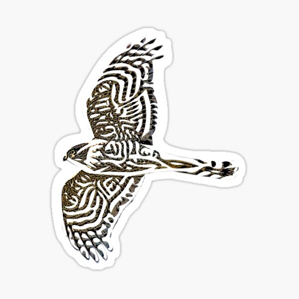 " A Red Shouldered Hawk White Alternate Design Painting Print" Sticker ...