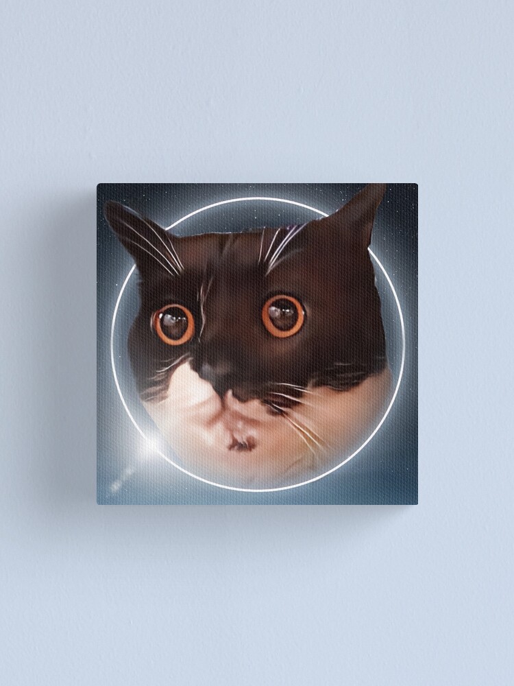 "Confused black and white cat meme" Canvas Print for Sale by ...