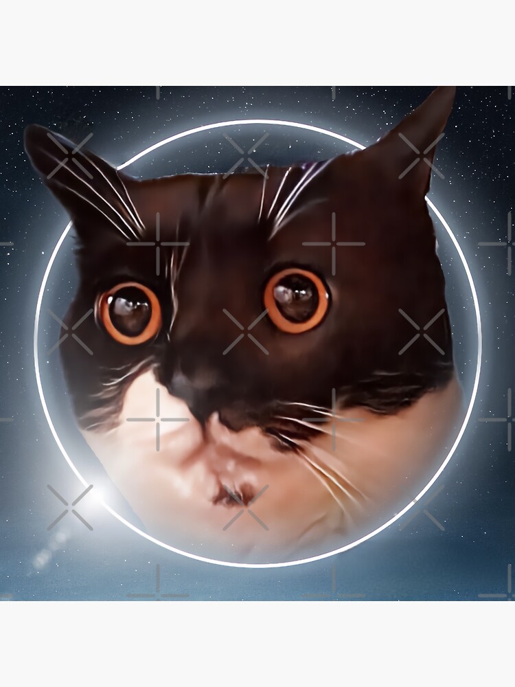 "Confused black and white cat meme" Sticker for Sale by WeDesignBest ...