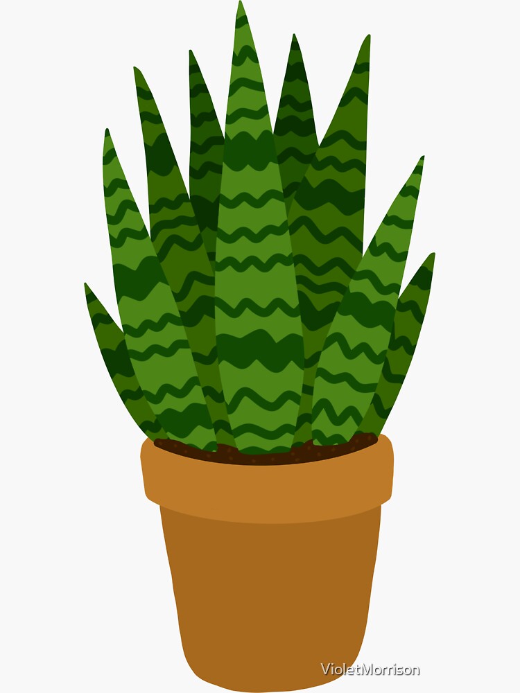 "Snake Plant (sansivera) " Sticker for Sale by VioletMorrison | Redbubble