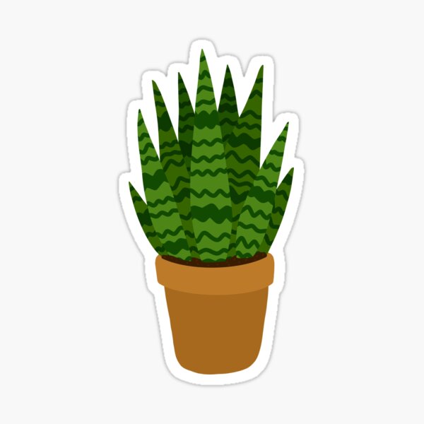 "Snake Plant (sansivera) " Sticker for Sale by VioletMorrison | Redbubble