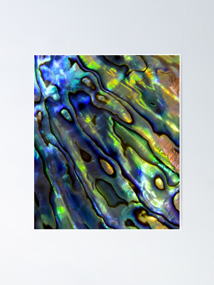 "Abstract Paua Abalone Shell Texture Pattern, Polished Paua Abalone ...