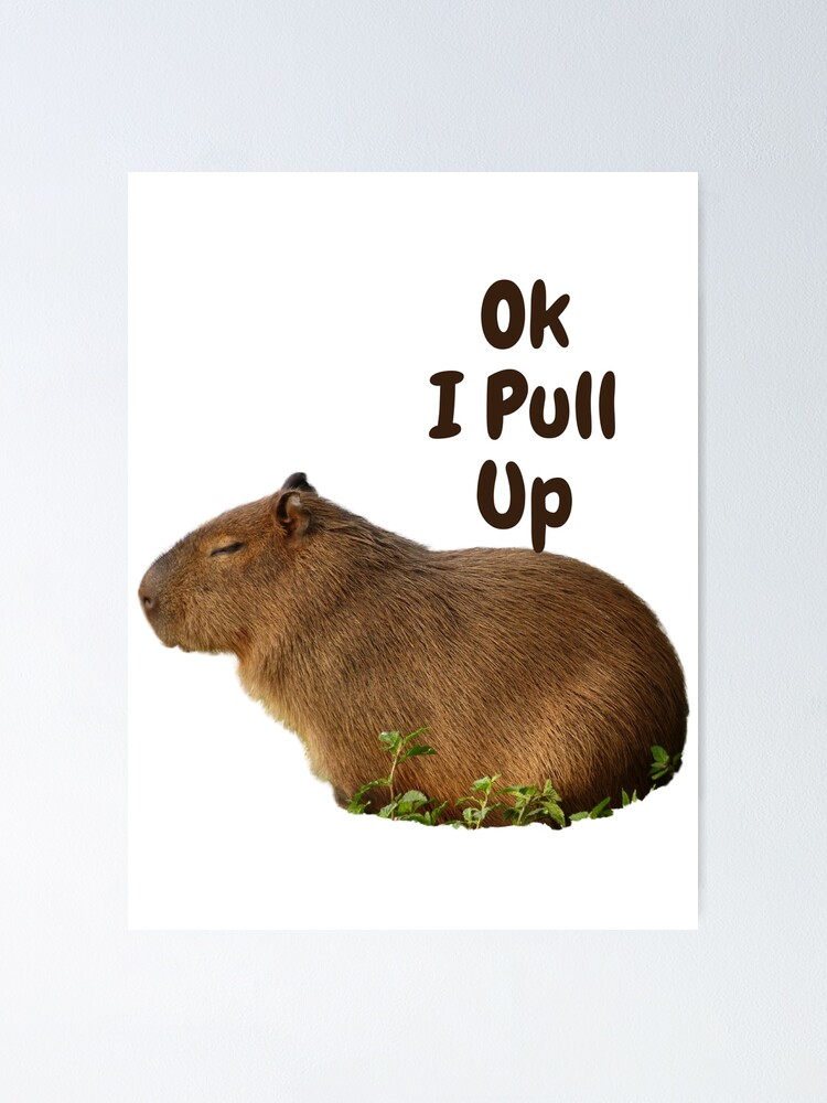 "Ok I Pull Up Capybara" Poster for Sale by All44all | Redbubble