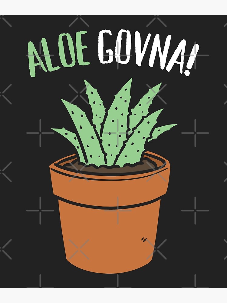 "Aloe Govna Funny Succulent Aloe Vera Meme" Art Print for Sale by ...