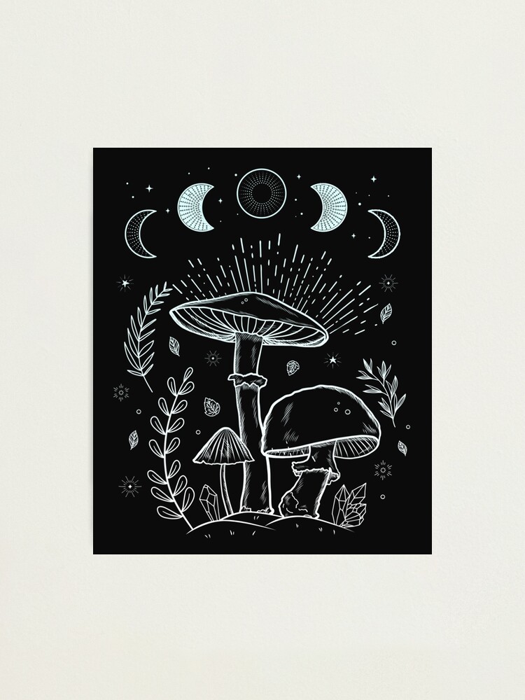 " Goblincore Aesthetic Dark Academia Cottagecore Mushroom ...