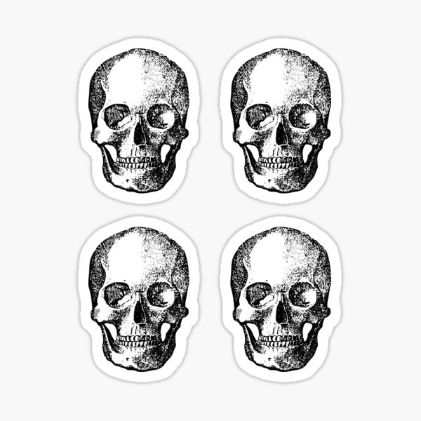 "vintage skull line drawing" Sticker for Sale by venomouspixie | Redbubble