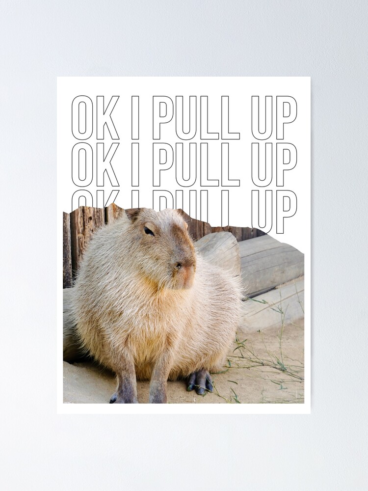 "Ok I Pull Up Capybara" Poster for Sale by All44all | Redbubble