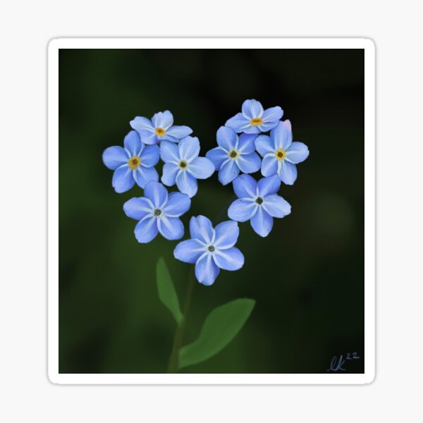 "please forget me not" Sticker for Sale by artbyemuu | Redbubble