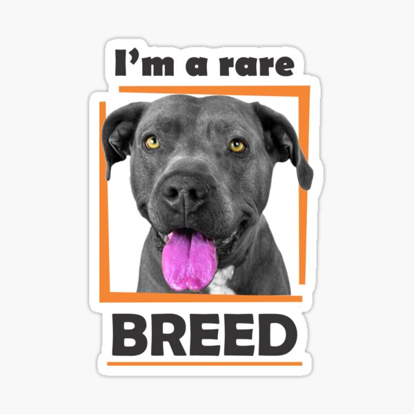 "a rare breed" Sticker for Sale by QUANTUMinspire | Redbubble