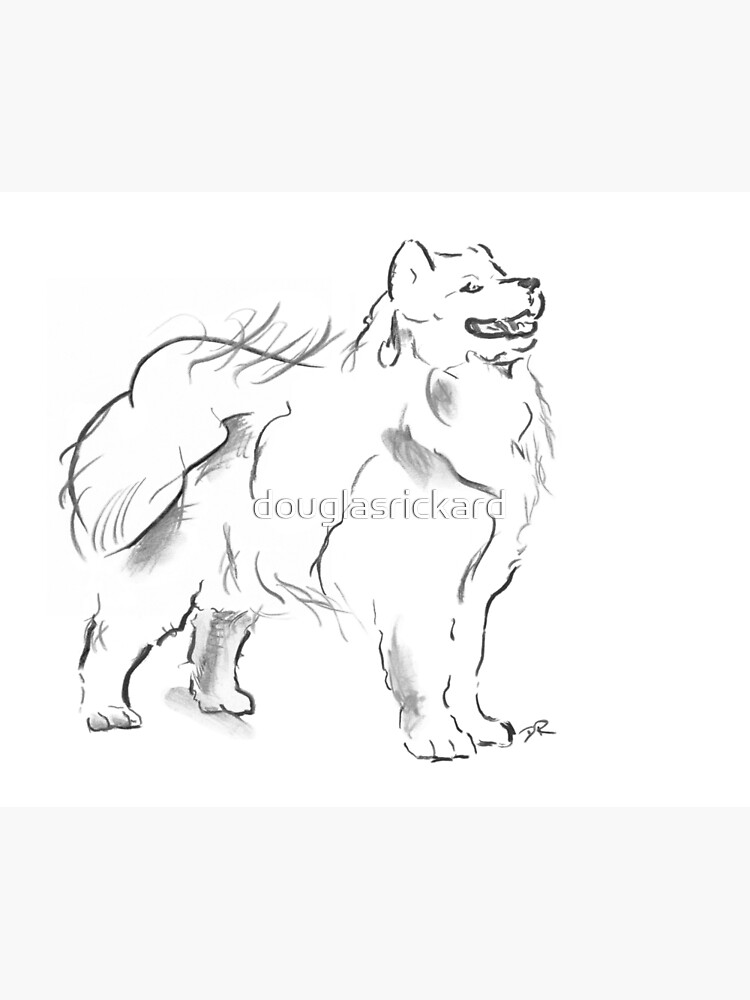 "Samoyed Drawing" Art Print for Sale by Douglas Rickard | Redbubble