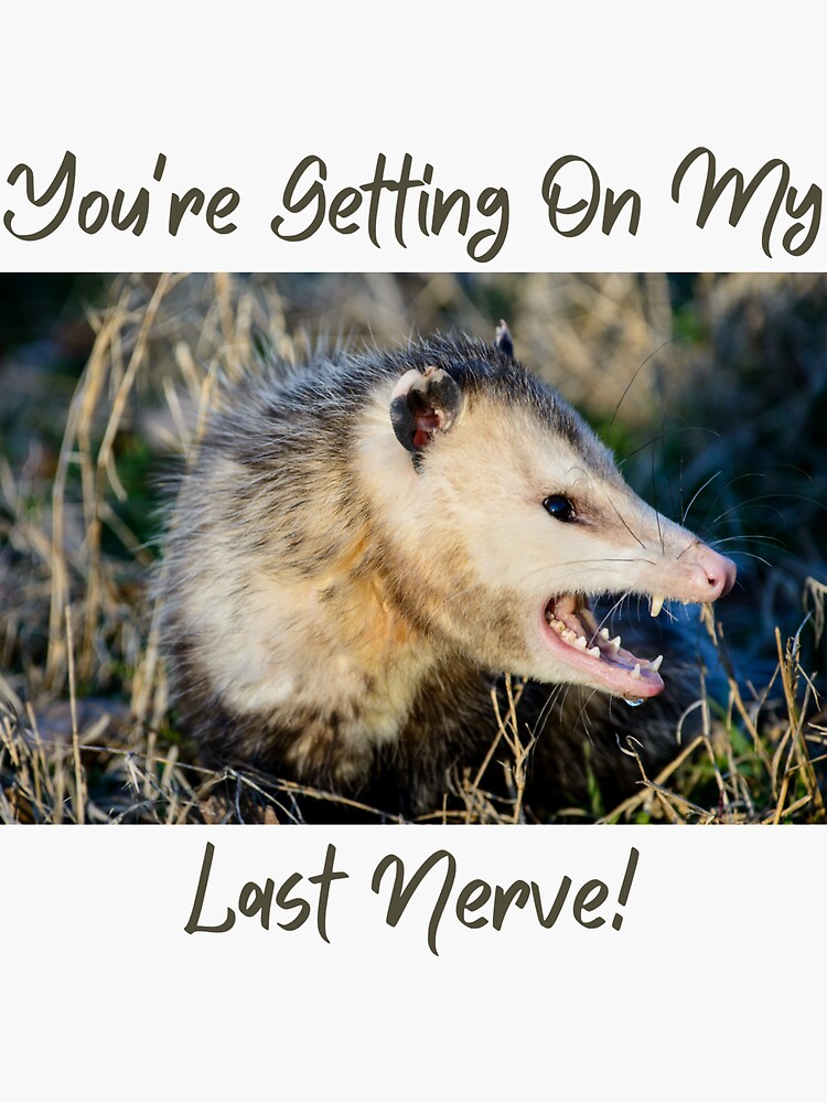 "You're Getting On My Last Nerve!" Sticker for Sale by JRHolmez | Redbubble