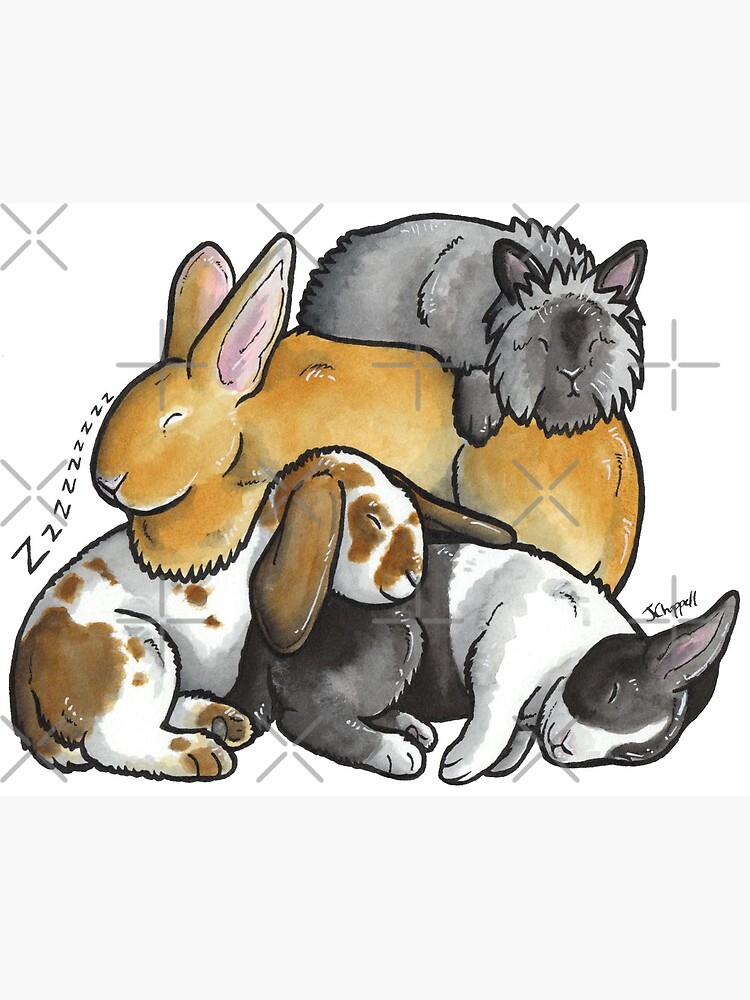 "Sleeping pile of pet rabbits" Art Print by animalartbyjess | Redbubble