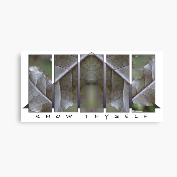 Know Thyself Canvas Prints | Redbubble