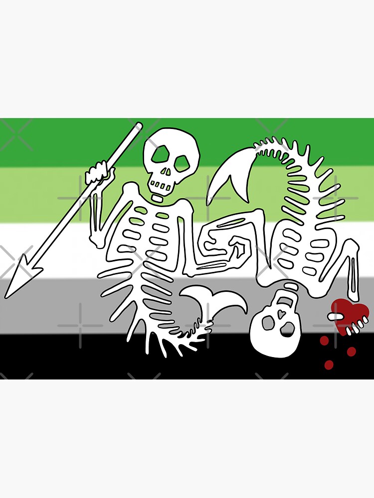 "OFMD season 2 aromantic pride mermaid pirate flag Blackbeard Stede ...