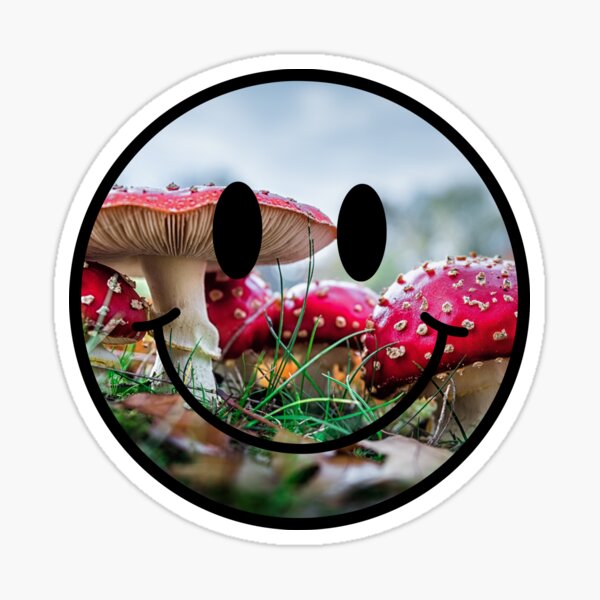 "Mushroom smiley face" Sticker for Sale by FawnsStickers | Redbubble