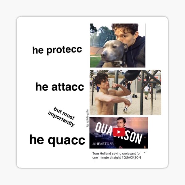 "he protecc he attacc he quacc" Sticker for Sale by mynameisjessev ...