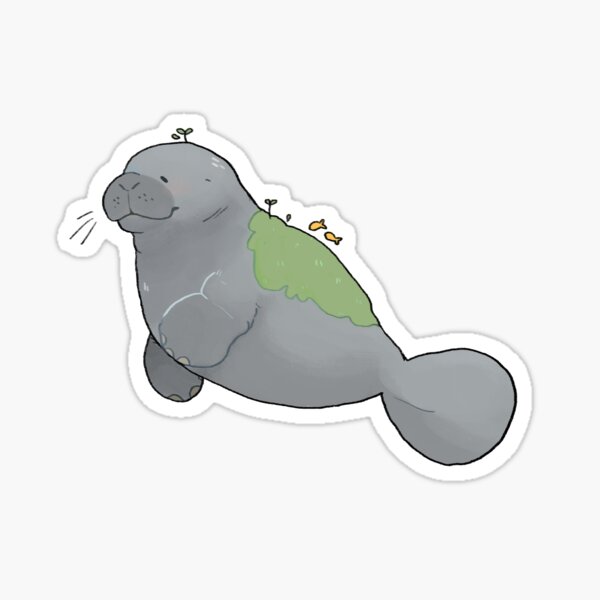 Manatee Stickers | Redbubble