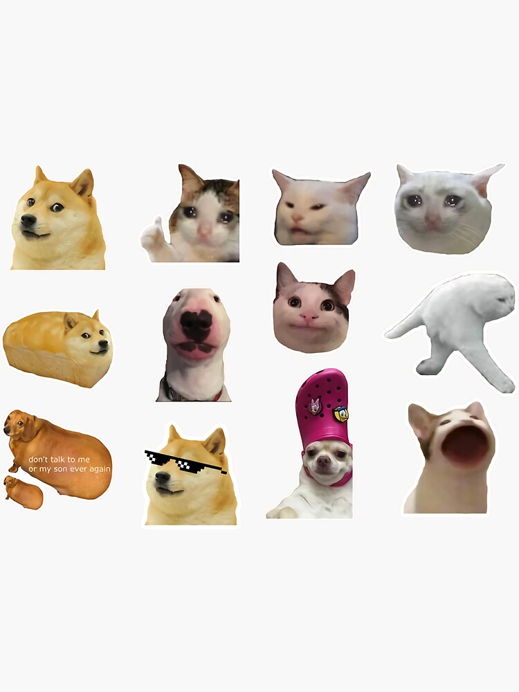 "funny animal pets meme trending pack" Sticker for Sale by brendajspann ...