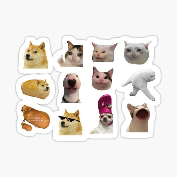 "funny animal pets meme trending pack" Sticker for Sale by brendajspann ...