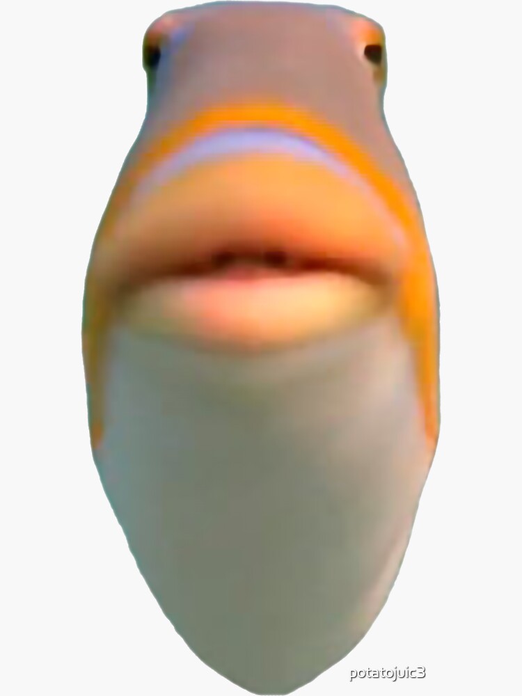 "Staring Fish" Sticker for Sale by potatojuic3 | Redbubble