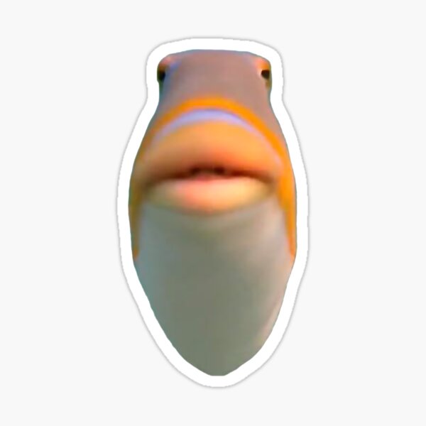 "Staring Fish" Sticker for Sale by potatojuic3 | Redbubble