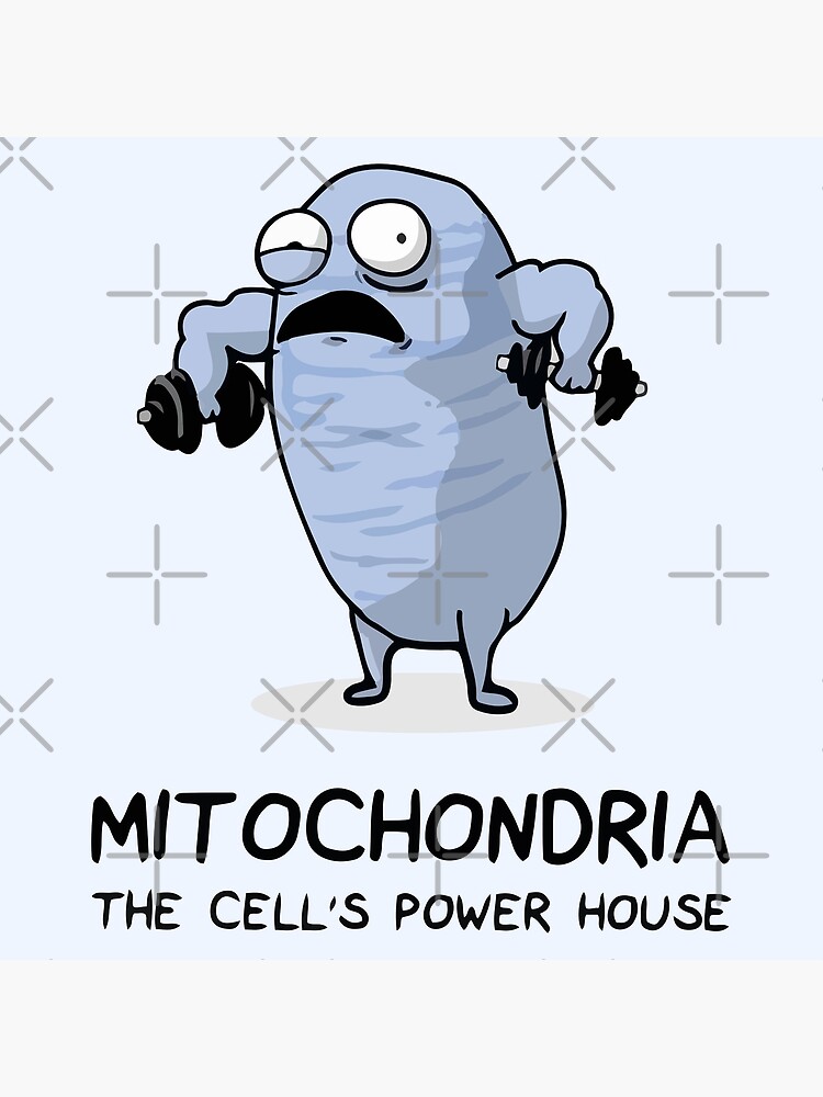 "Mitochondria The powerhouse of the cell." Poster for Sale by labstud ...