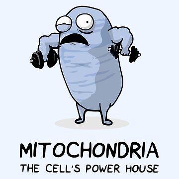 "Mitochondria The powerhouse of the cell." Poster for Sale by labstud ...